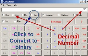 Understanding Binary Numbers for Beginners
